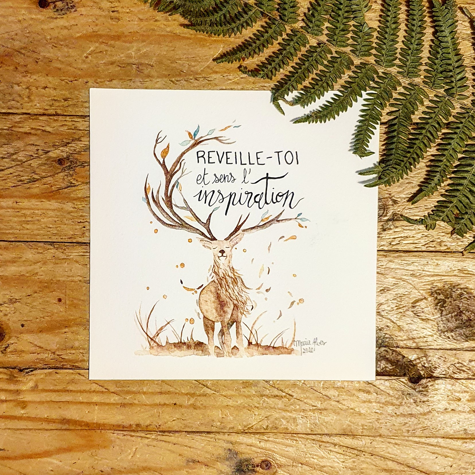 Sens l'inspiration - Edition Positive - Marie Alves Illustration